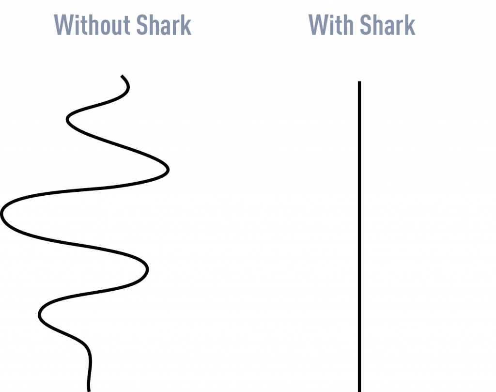 Services | shark communication