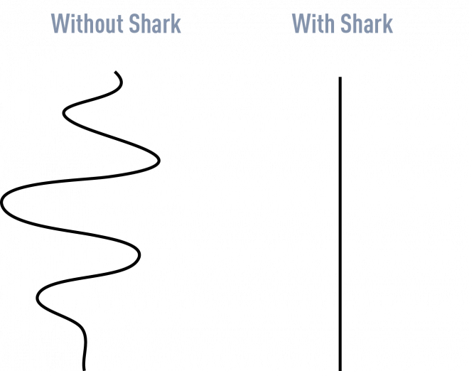 Services | shark communication