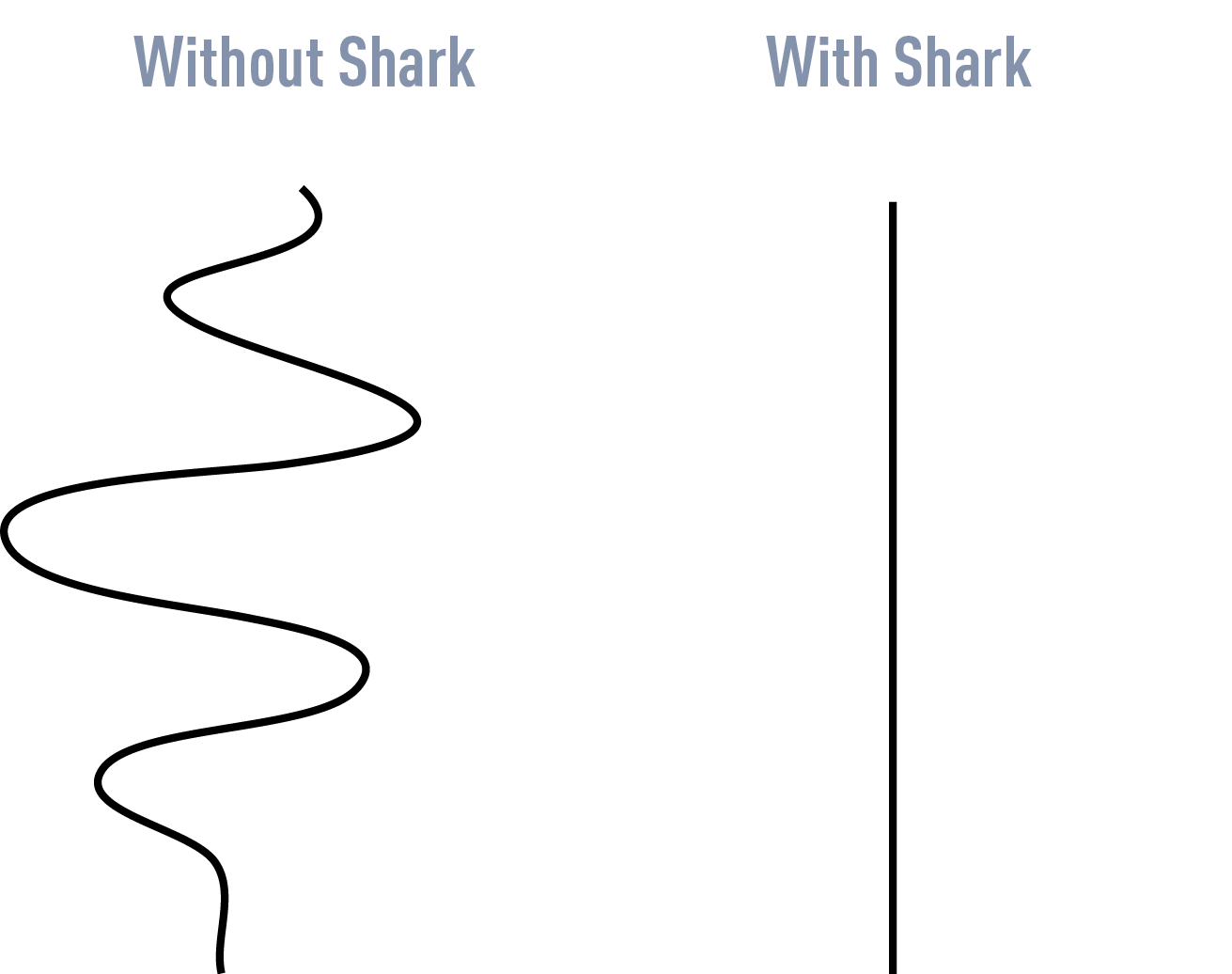 Services | shark communication